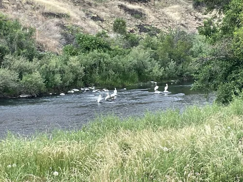 Best Hikes and Trails in Pendleton | AllTrails