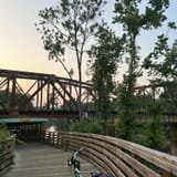 Cape Fear River Trail, North Carolina - 1,095 Reviews, Map | AllTrails