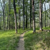 Pendleton Point Overlook, West Virginia - 197 Reviews, Map | AllTrails