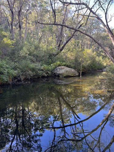 10 Best Easy Trails in Brisbane Water National Park | AllTrails