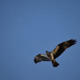 Keeha Beach via Cape Beale-Keeha Trailhead, British Columbia, Canada ...