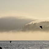 Keeha Beach via Cape Beale-Keeha Trailhead, British Columbia, Canada ...