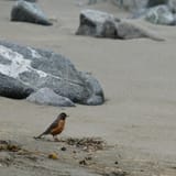 Keeha Beach via Cape Beale-Keeha Trailhead, British Columbia, Canada ...
