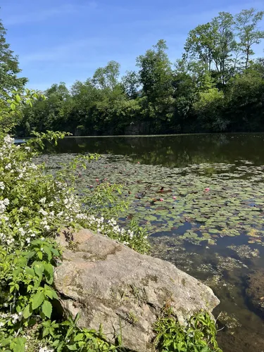 Best Hikes and Trails in Ephrata Linear Park | AllTrails