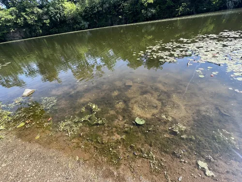 Best Hikes and Trails in Ephrata Linear Park | AllTrails