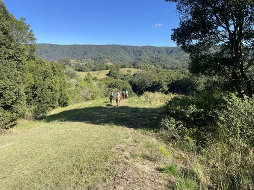 Best Camping Trails in Kin Kin | AllTrails