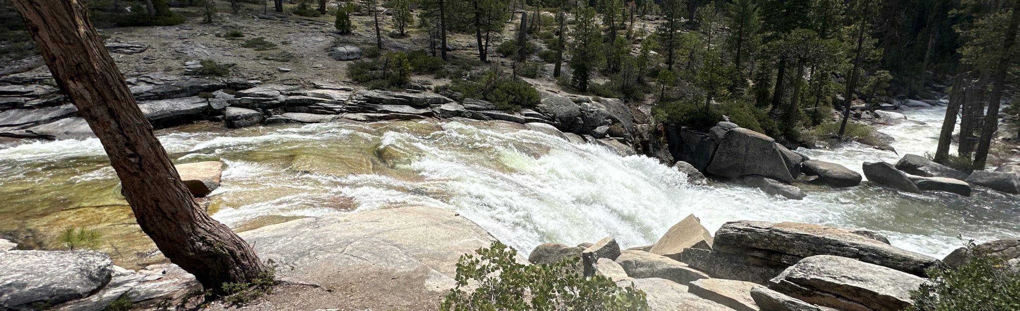 Bassi Falls, California - 2,837 Reviews, Map | AllTrails
