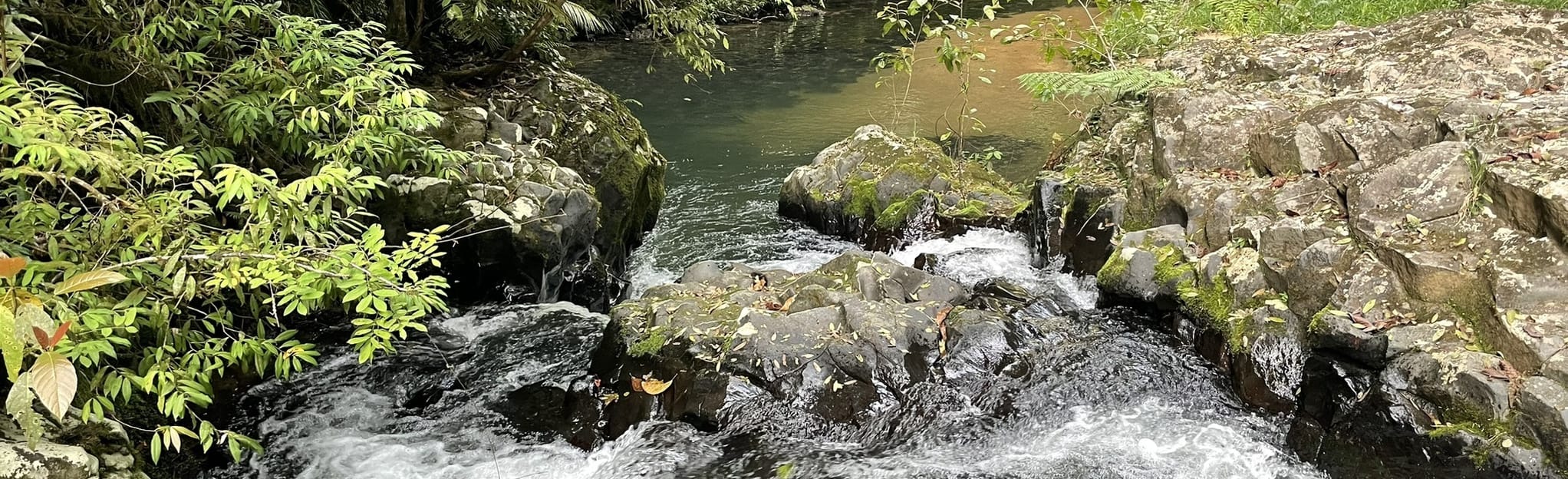 Cardwell Range Track via Hinson Creek, Queensland, Australia - 4 ...