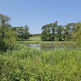 Thornton Reservoir and Bagworth Heath Woods Circular, Leicestershire ...