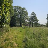 Thornton Reservoir and Bagworth Heath Woods Circular, Leicestershire ...