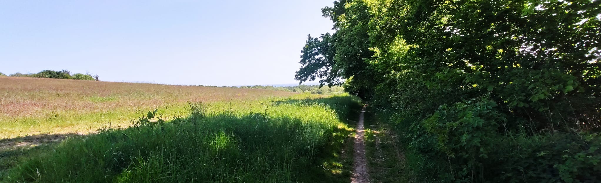 Moesgaard Museum: 1 Reviews, Map - Central Denmark, Denmark | AllTrails