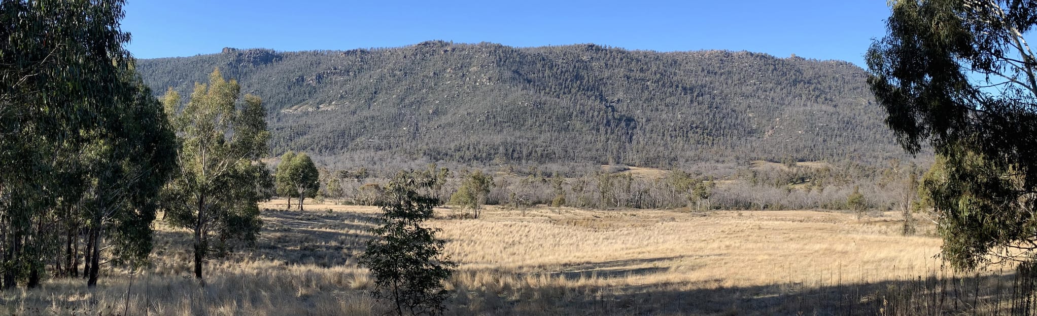 Mount Bimberi: Orroral Valley to Bimberi Peak, New South Wales ...