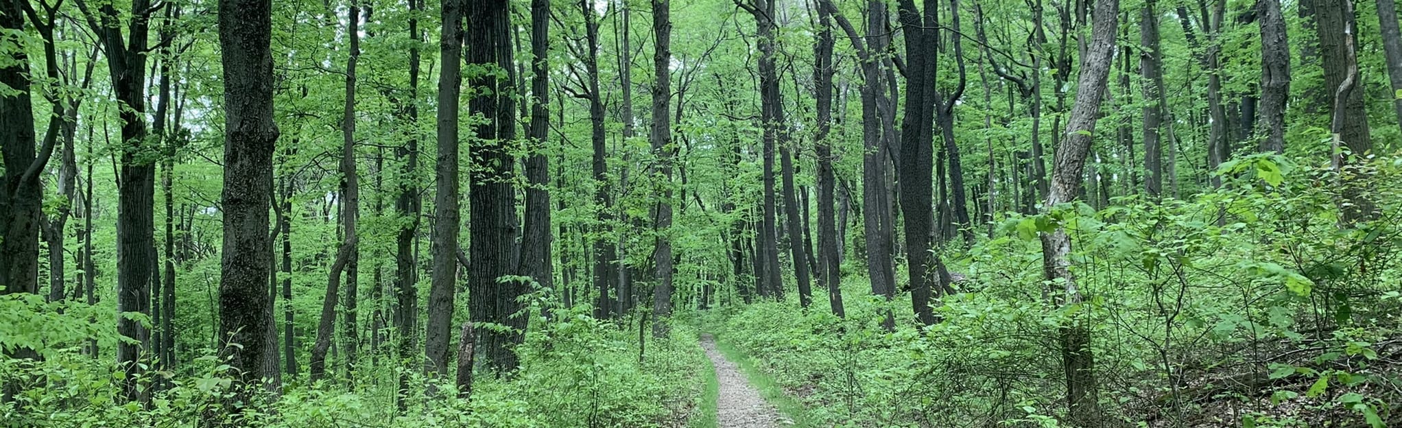 Roaring Run, Painter Rock, and North Trail Loop, Pennsylvania - 27 ...