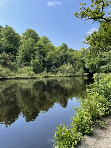10 Best Trails and Hikes in Sheffield | AllTrails