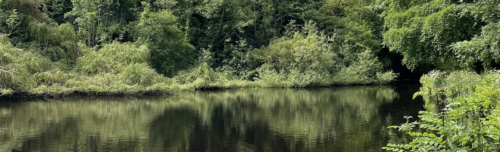 Rivelin Valley Trail, South Yorkshire, England - 173 Reviews, Map ...