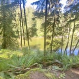 Marble River Trail , British Columbia, Canada - 153 Reviews, Map ...