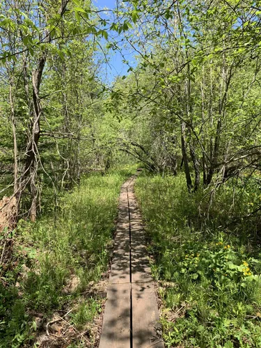 Best Hikes and Trails in Rock River Canyon Wilderness | AllTrails