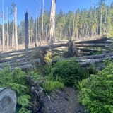 Marble River Trail , British Columbia, Canada - 153 Reviews, Map ...