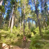 Marble River Trail , British Columbia, Canada - 153 Reviews, Map ...