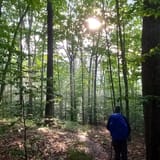 Tioga West Rim Trail, Pennsylvania - 529 Reviews, Map | AllTrails