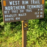 Tioga West Rim Trail, Pennsylvania - 531 Reviews, Map | AllTrails