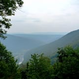 Tioga West Rim Trail, Pennsylvania - 531 Reviews, Map | AllTrails