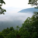 Tioga West Rim Trail, Pennsylvania - 502 Reviews, Map | AllTrails