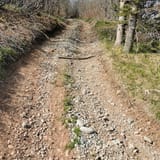 Martin Head, New Brunswick, Canada - 17 Reviews, Map | AllTrails