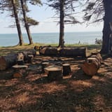 Martin Head, New Brunswick, Canada - 17 Reviews, Map | AllTrails