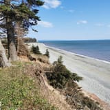 Martin Head, New Brunswick, Canada - 17 Reviews, Map | AllTrails