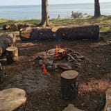 Martin Head, New Brunswick, Canada - 17 Reviews, Map | AllTrails