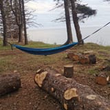 Martin Head, New Brunswick, Canada - 17 Reviews, Map | AllTrails