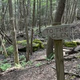 Stevens Glen Trail, Massachusetts - 402 Reviews, Map | AllTrails