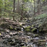 Stevens Glen Trail, Massachusetts - 402 Reviews, Map | AllTrails