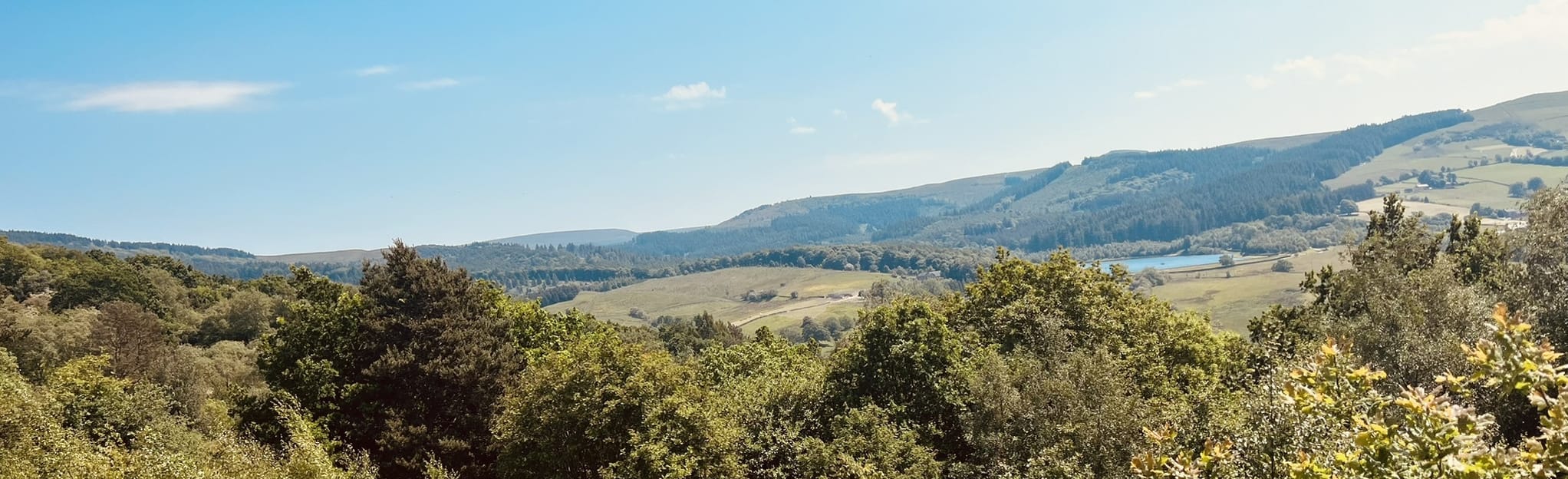 Gritstone Trail: 35 Reviews, Map - Greater Manchester, England | AllTrails