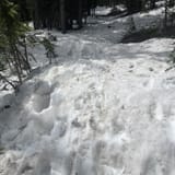 Lost Lake Trail, New Mexico - 287 Reviews, Map | AllTrails