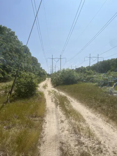 Best Hikes and Trails in Otis Pike Preserve | AllTrails