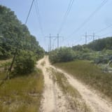Peconic River, New York - 39 Reviews, Map | AllTrails