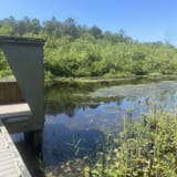 Peconic River, New York - 39 Reviews, Map | AllTrails