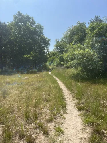 Best Hikes and Trails in Otis Pike Preserve | AllTrails