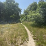 Peconic River, New York - 39 Reviews, Map | AllTrails