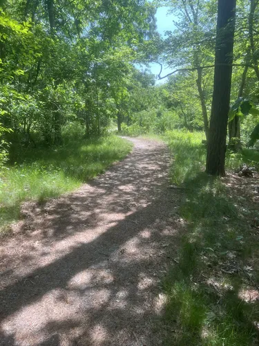 Best Hikes and Trails in Otis Pike Preserve | AllTrails