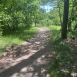 Peconic River, New York - 39 Reviews, Map | AllTrails