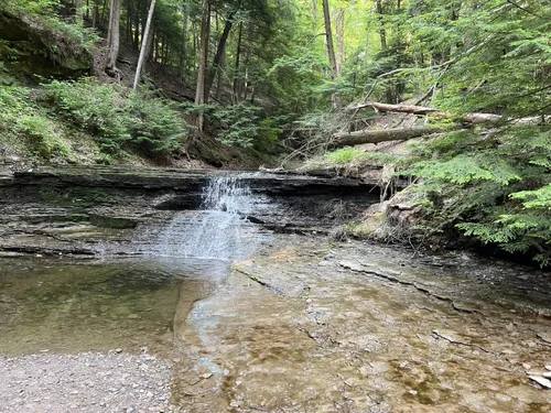 10 Best Trails and Hikes in Chagrin Falls | AllTrails