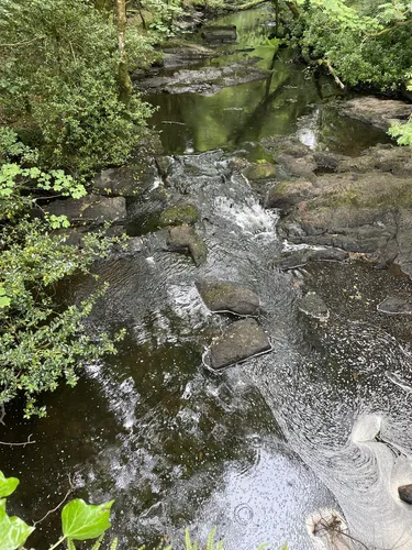 Best Hikes and Trails in Deerpark Forest | AllTrails