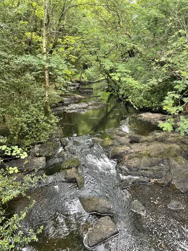 Best Hikes and Trails in Deerpark Forest | AllTrails