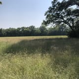 Pyramid State Park Loop Trail, Illinois - 235 Reviews, Map | AllTrails