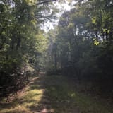 Pyramid State Park Loop Trail, Illinois - 235 Reviews, Map | AllTrails
