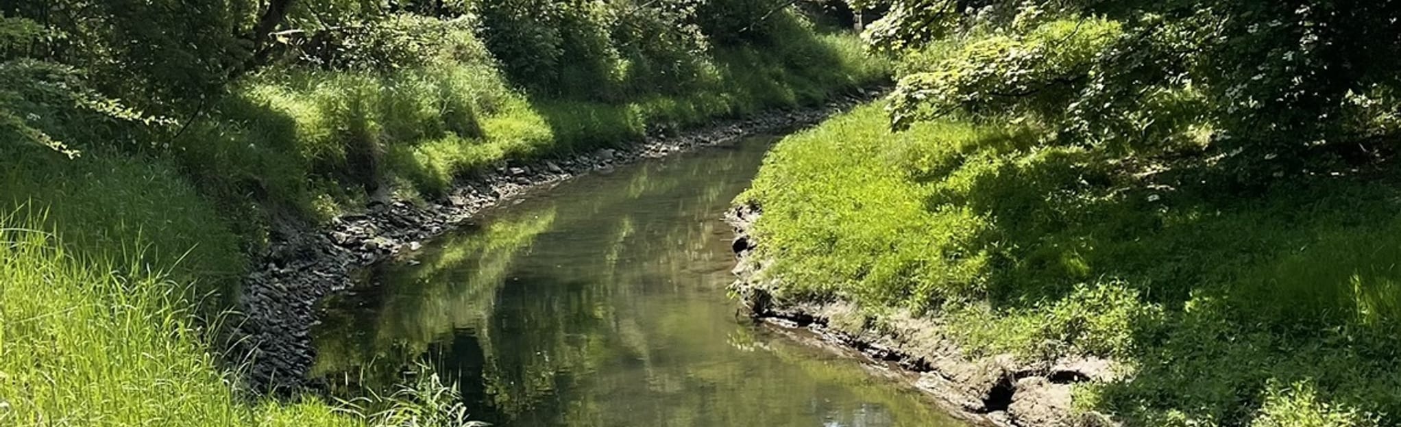 Warton Crag Circular, Lancashire, England - 136 Reviews, Map | AllTrails