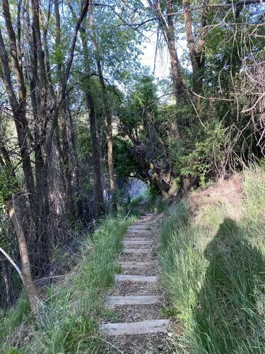 Best Hikes and Trails in Lynn and Merle Olsen Park | AllTrails